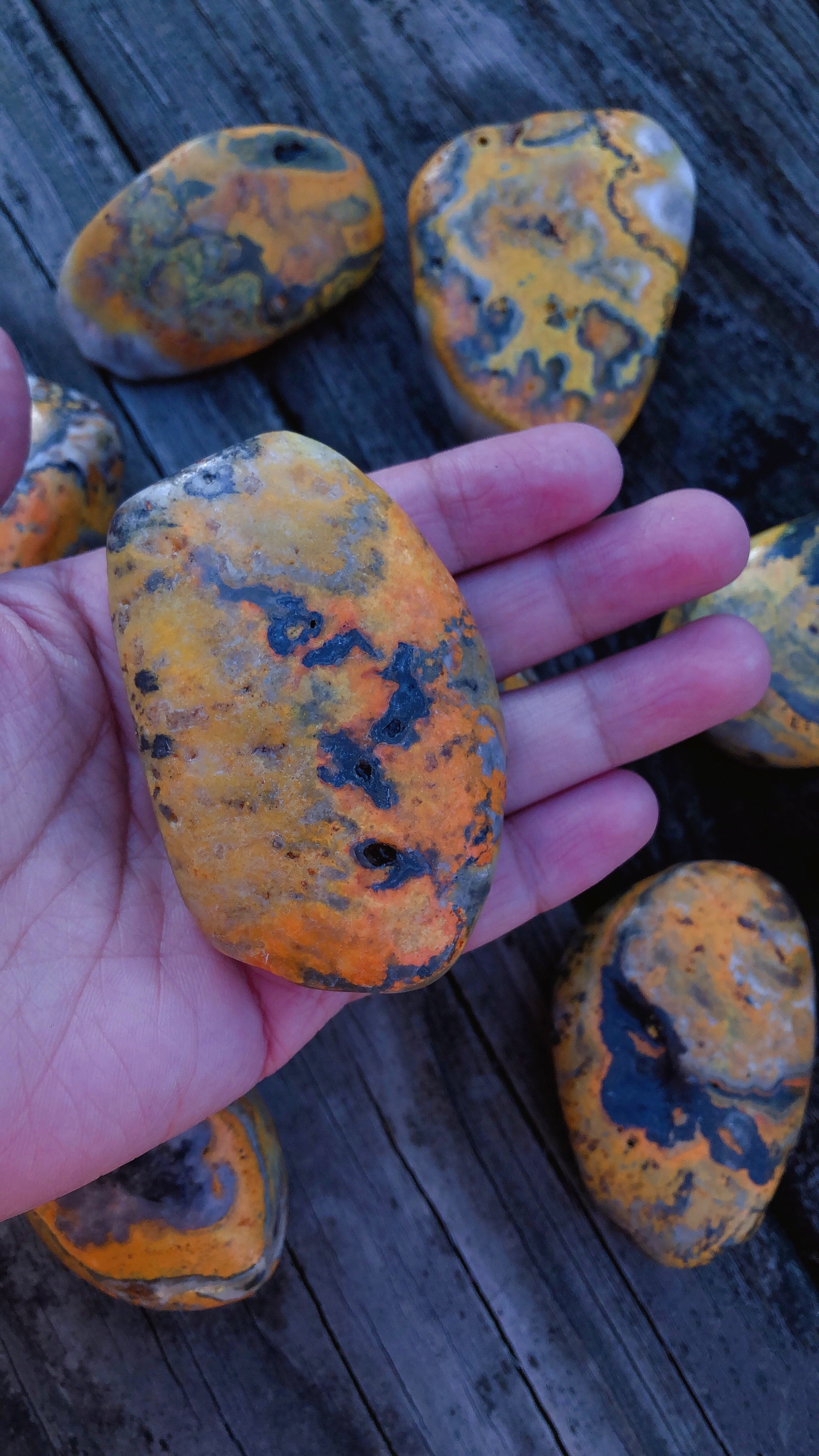BumbleBee Jasper – Spiritual Landing