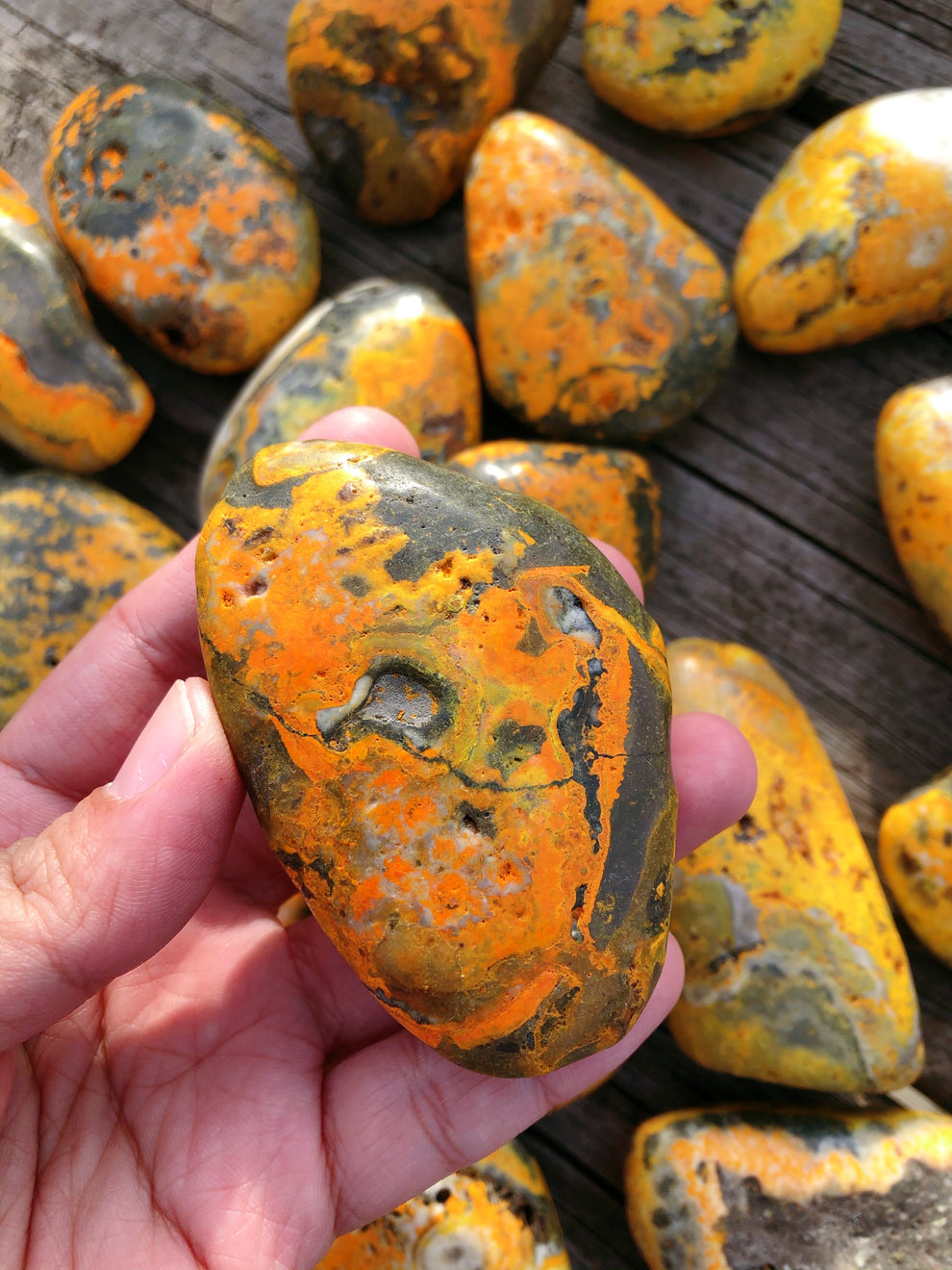 BumbleBee Jasper – Spiritual Landing