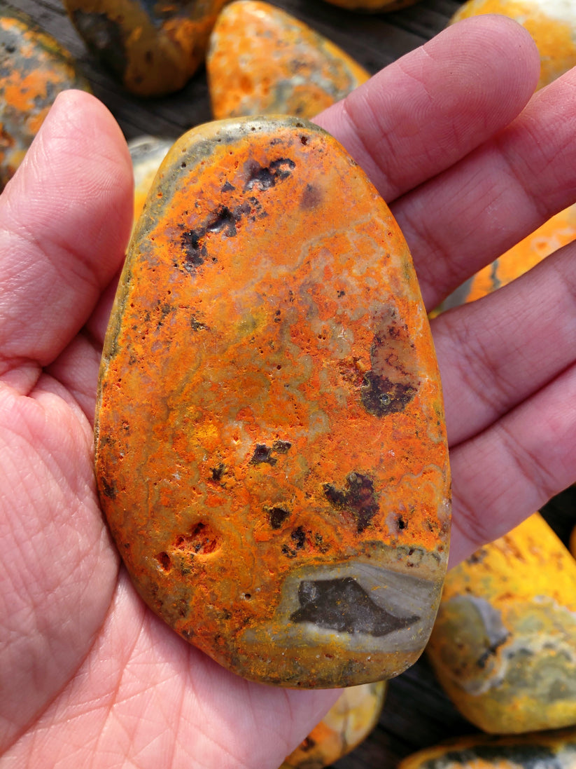 BumbleBee Jasper – Spiritual Landing